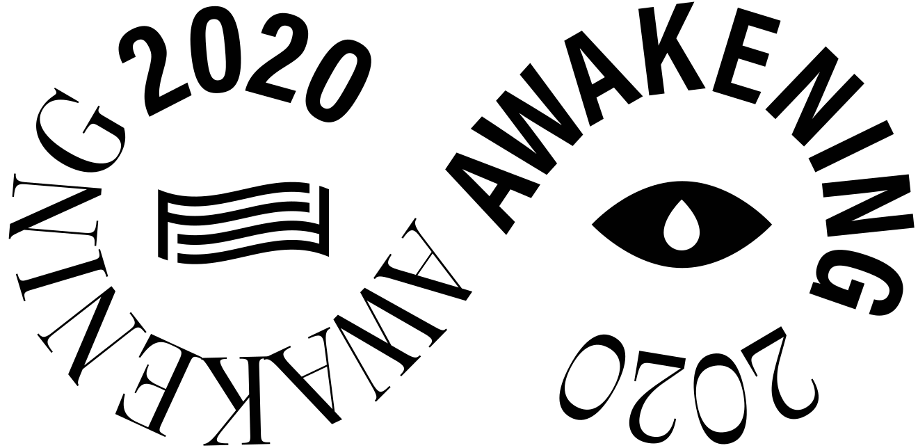 Wide Awakes 2020 Awakening – Pike School of Art